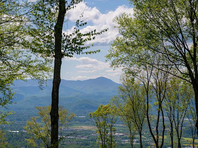 Land