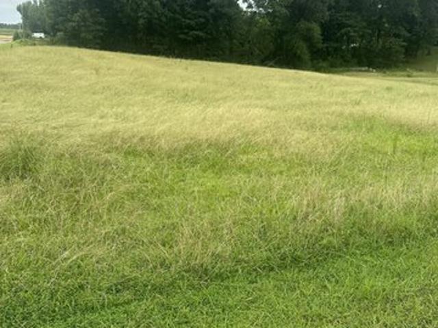 Landen Cir Lot 30, Byhalia, MS 38611