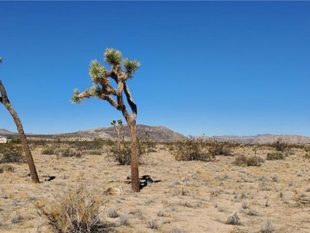 Landers, CA 92285