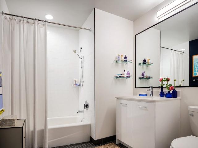 Landmark West Loop 1 Bedroom Apartment for Rent at 1035 W Van Buren St, Chicago, IL 60607 Near West Side