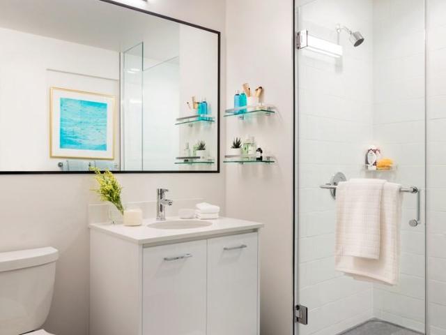 Landmark West Loop Studio Apartment for Rent at 1035 W Van Buren St, Chicago, IL 60607 Near West Side
