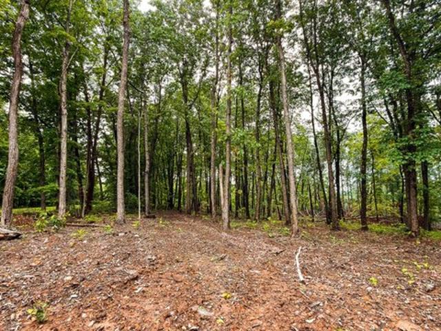 Landrum Rd, Bainbridge, OH 45612
