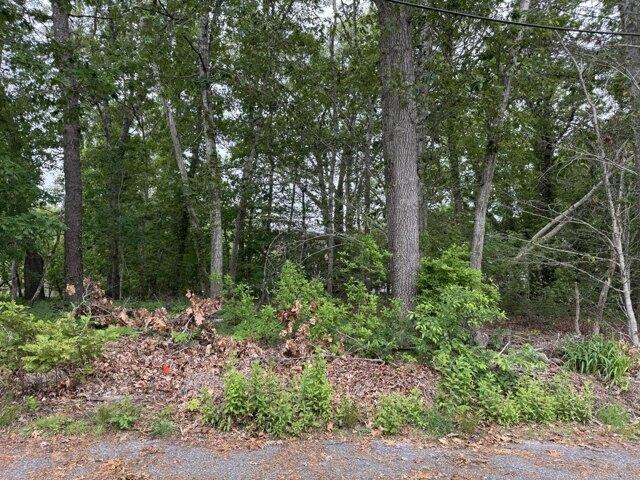 Lane Rd, Dennis Port, Plot For Sale