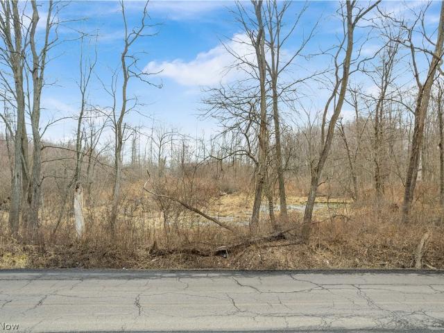 Lane Road SW