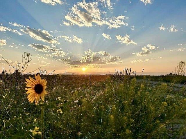 Lane 11 Lot 2, Powell, WY 82435