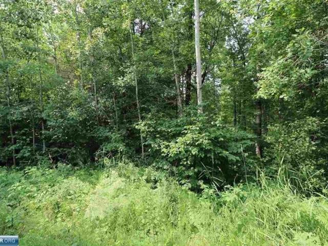 Lane # 51, Aurora, MN 55705