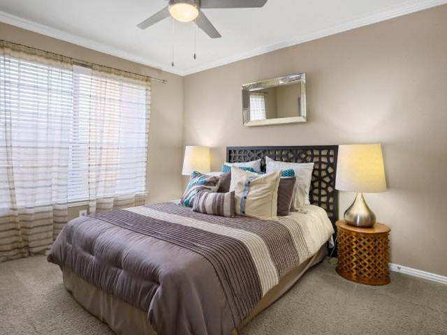 Lanesborough Apartments 1 Bedroom Apartment for Rent at 1819 S Braeswood Blvd, Houston, TX 77030 Astrodome