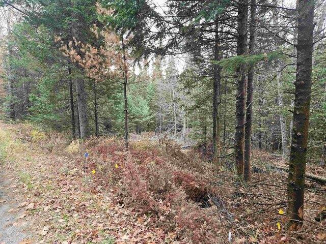 Langway Rd, Lyman, Plot For Sale