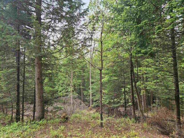 Langway Rd, Lyman, Plot For Sale