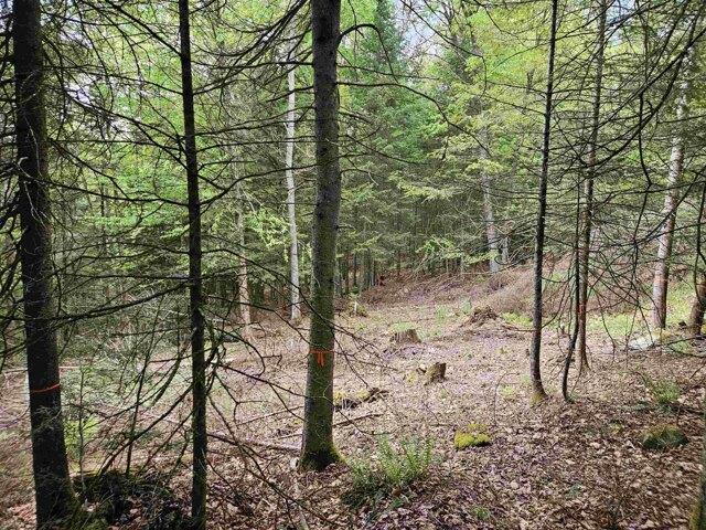 Langway Rd, Lyman, Plot For Sale