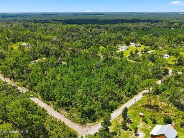 Lanier Ave Lot 1, Brooksville, FL 34604