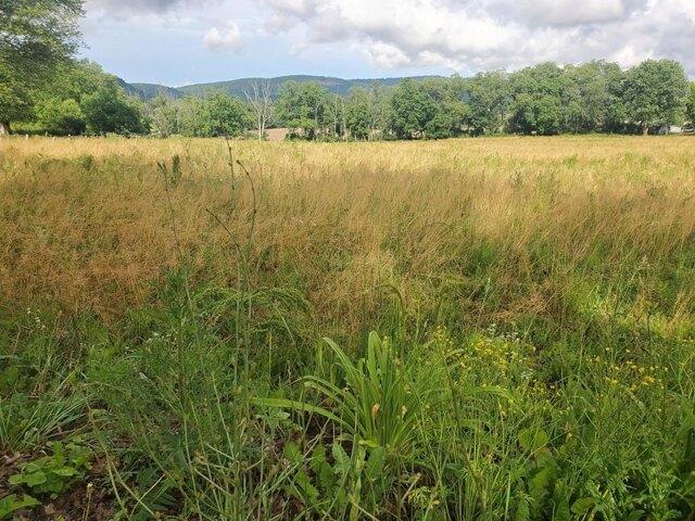 Laning Creek Rd, Towanda, Plot For Sale