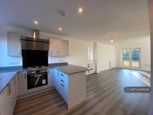 Lacewood Close, Bestwood Village. 4 bed semi detached house to rent £1,625 pcm £375 pw