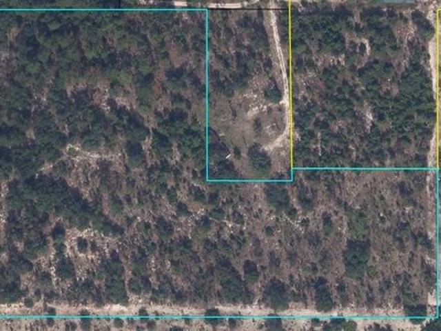 Lady Bug Ln, Melrose, FL 32666