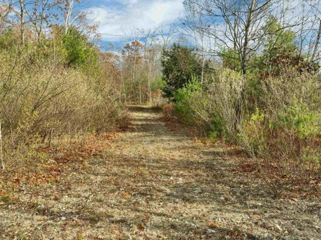 Lady Slipper Ln Lot,moultonborough, Plot For Sale