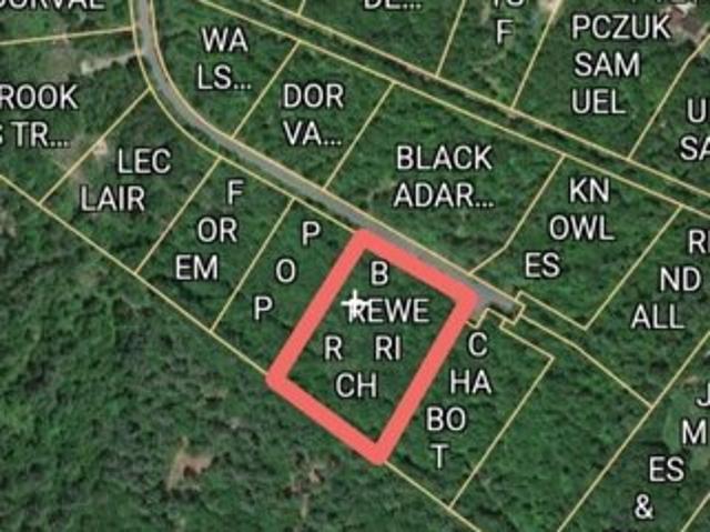 Lady Slipper Ln, Moultonborough, Plot For Sale