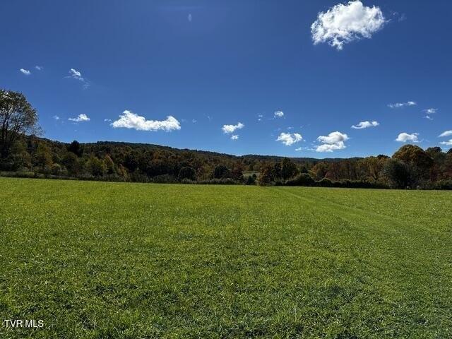 Lady Tract Ln # 1, Shady Valley, TN 37688