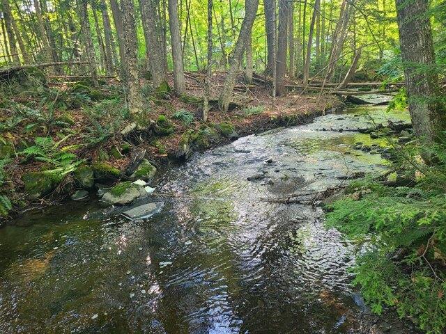 Ladd Rd, Sebec, Plot For Sale