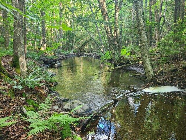 Ladd Rd, Sebec, Plot For Sale