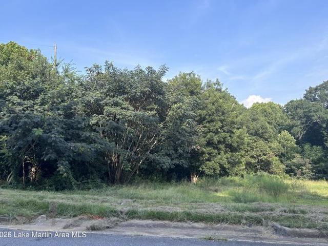 Lafayette St, Dadeville, AL 36853