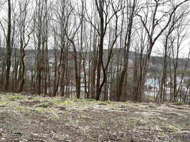 Lafayette St Lot,saint Johnsbury, Plot For Sale