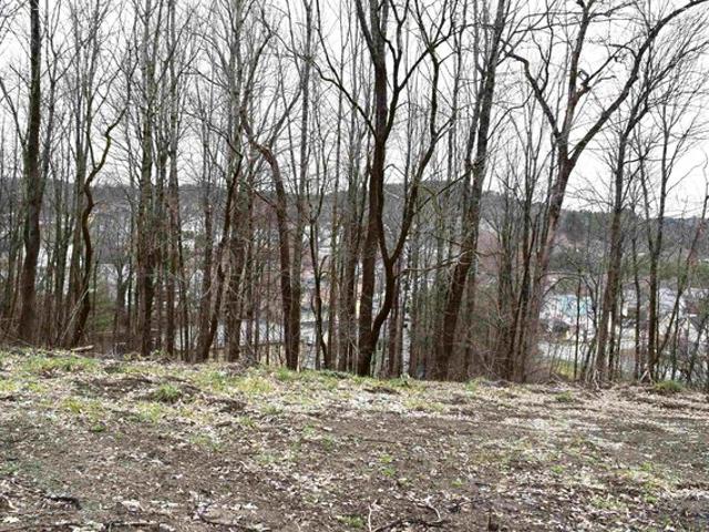 Lafayette St Lot 26, Saint Johnsbury, VT 05819