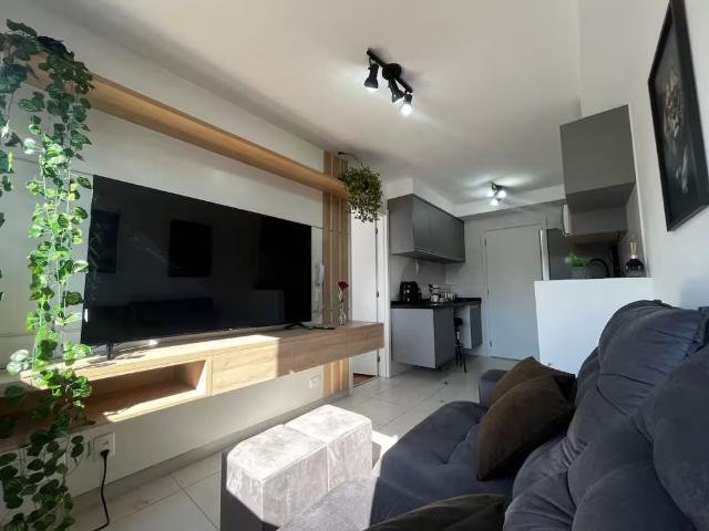 LAGUNA 430