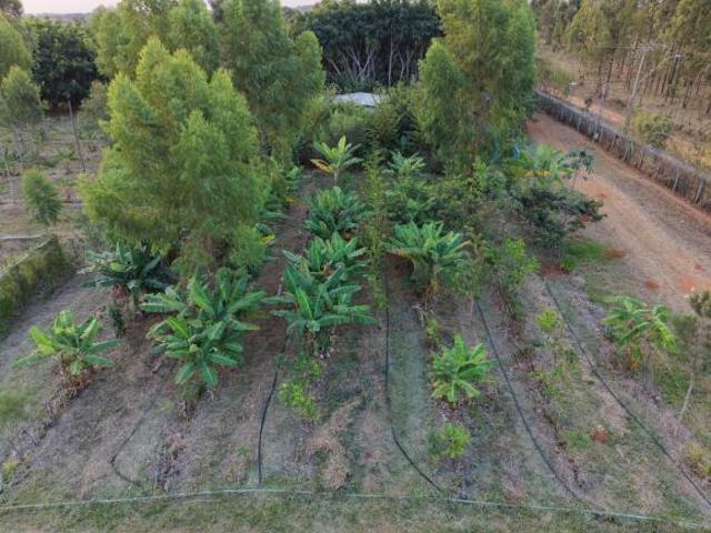 Lago Oeste R. 16 Casa 3 quartos, diversas frutas agrofloresta bem cercada