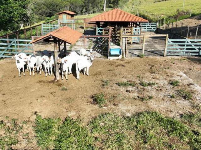 Lagoa Privativa, Terra Produtiva e Estrutura Completa