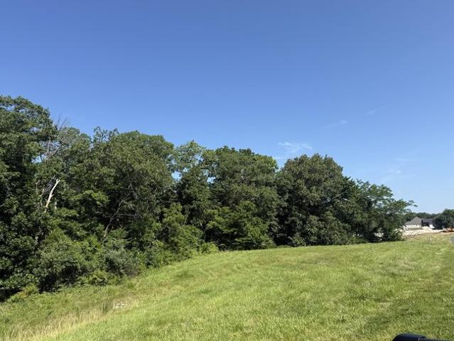 Lagos Dr Lot 6, Columbia, MO 65203
