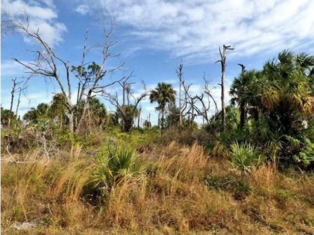 Lagorce St, North Port, FL 34286