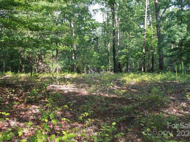 Lail Rd, Rutherfordton, NC 28139