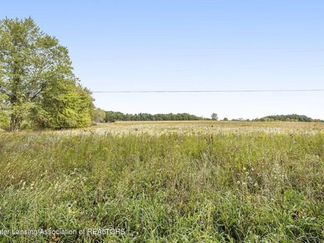 Laingsburg Rd, Laingsburg, MI 48848