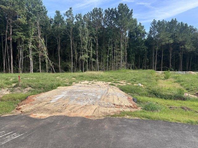 Lainey Ln Lot 7, Hattiesburg, MS 39402