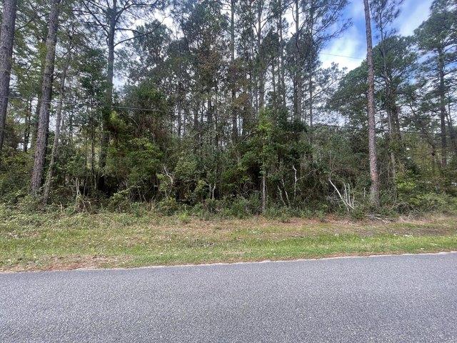 Laird Dr Lot 30, Freeport, FL 32439