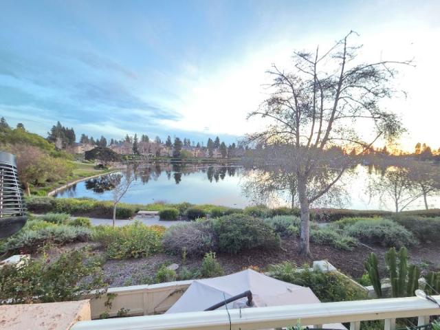 Lakview property