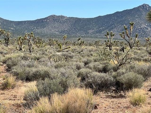 Lake Mead City Unit No 29 Lot 410, Meadview, AZ 86444