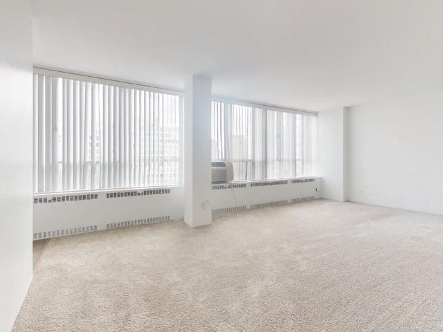 Lake Meadows Apartments 1 Bedroom Apartment for Rent at 3233 S King Dr, Chicago, IL 60616 Douglas