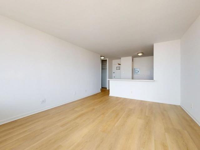 Lake Meadows Apartments 2 Bedroom Apartment for Rent at 3233 S King Dr, Chicago, IL 60616 Douglas