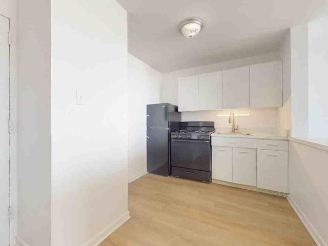 Lake Meadows Apartments Studio Apartment for Rent at 3233 S King Dr, Chicago, IL 60616 Douglas