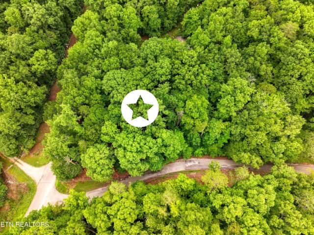 Lake Overlook Drive, Kingston, TN 37763