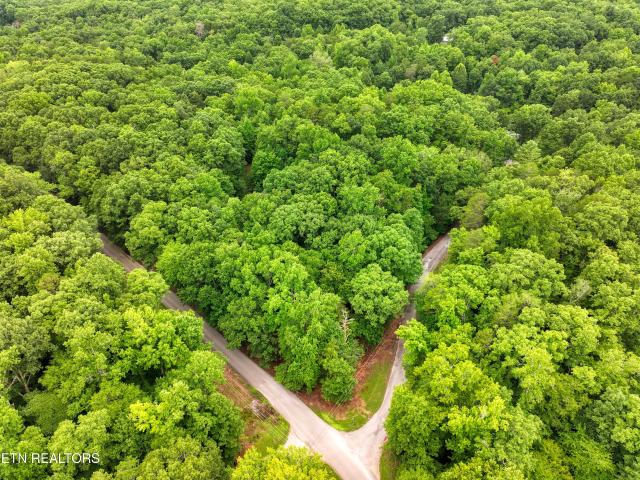 Lake Overlook Drive, Kingston, TN 37763