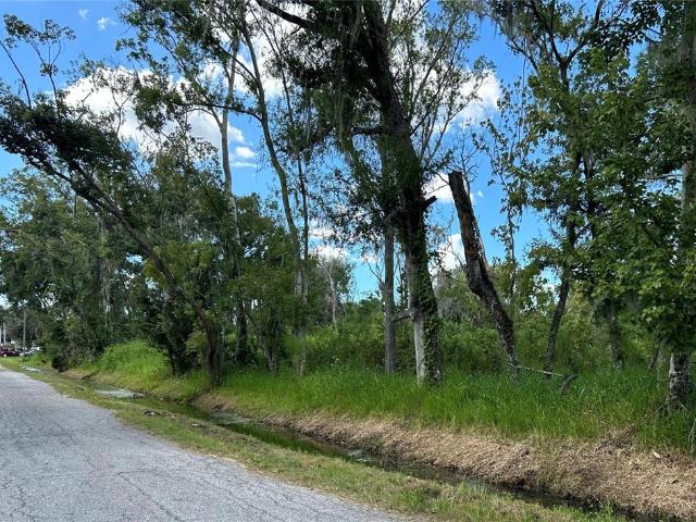 Lake Blvd, Plant City, FL 33563 | MLS #TB8431