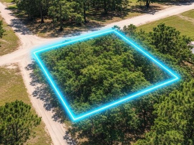 Lake City, FL 32025