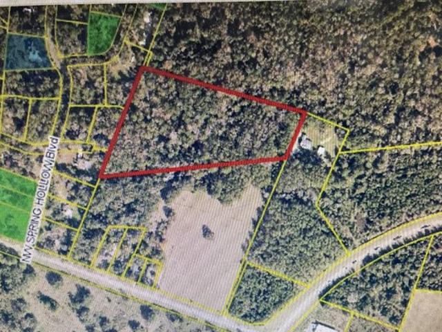 NW Lake Jeffery Rd, Lake City, FL 32055