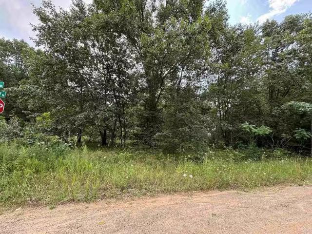 Lake, Corner lot in Deerfield subdivision near all sports