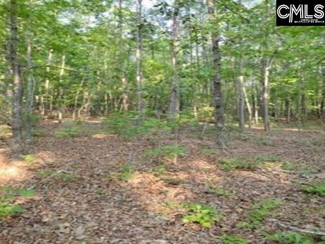Lake Dogwood Cir, Columbia, SC 29044