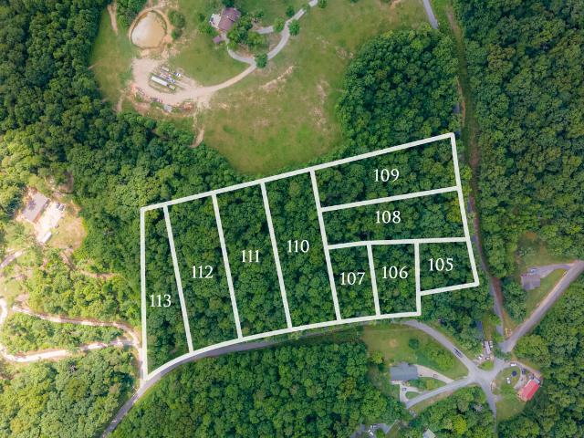 Lake Dr Lane, LaFollette, TN 37766