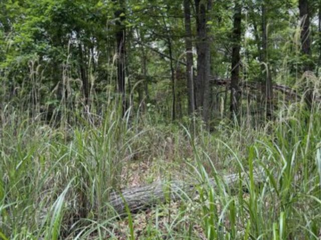 Lake Dr Lot 52, Crimora, VA 24431