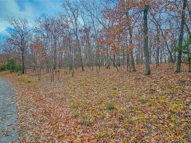 Lake Dr Lot 302, Sunrise Beach, MO 65079